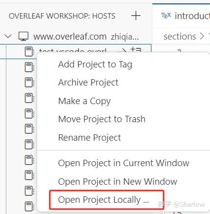 VS Code 中配置 Overleaf-Workshop 插件 - 知乎