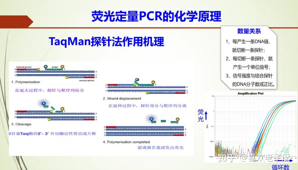 荧光定量PCR的基本原理（染料法+TaqMan探针法） - 知乎