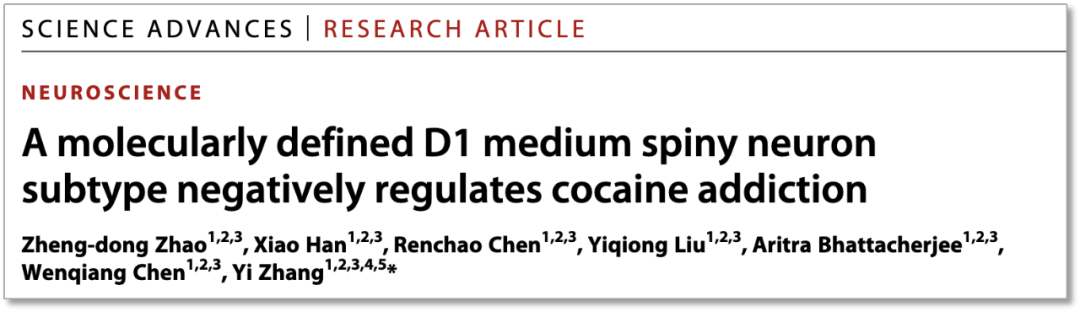 Sci Adv︱张毅课题组发现调节药物成瘾行为的重要神经元 - 知乎