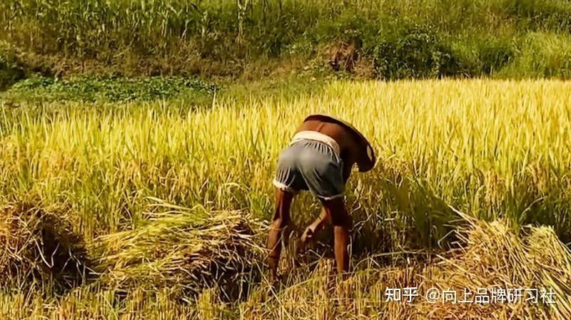 向农民一样思考-Think like a farmer. - 知乎
