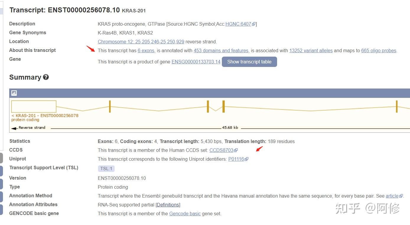 Alamut Visual Plus （一）—基础注释 - 知乎