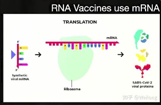 Molecular Biophysics -- Lecture 01 - 知乎