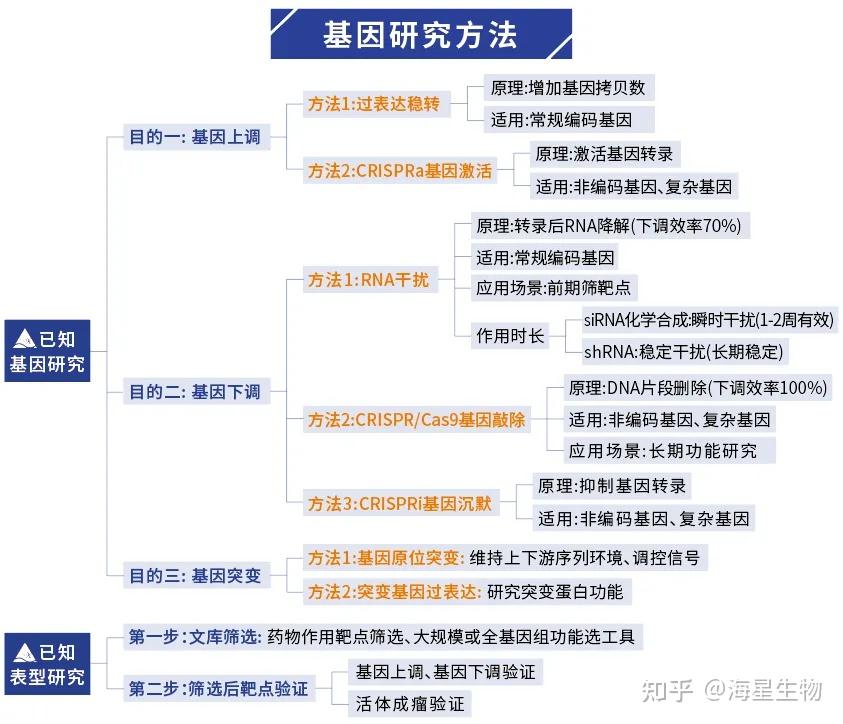 基因研究技术方法—基因敲除/敲低/过表达 - 知乎