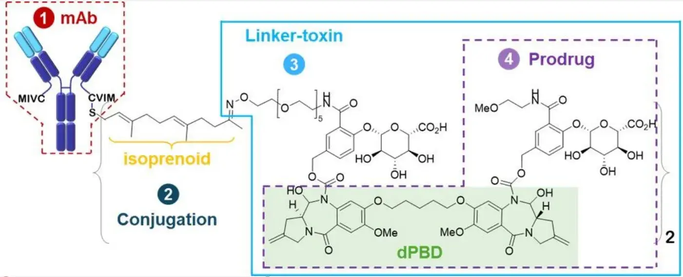 肿瘤治疗新靶点ROR1：ADC治疗B细胞淋巴瘤，ORR达76.9% - 知乎