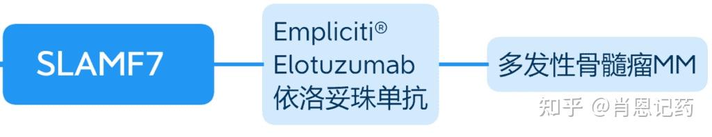 记住所有FDA生物药 | SLAMF7双重调节剂 | Elotuzumab 依洛妥珠单抗 | 多发性骨髓瘤MM - 知乎