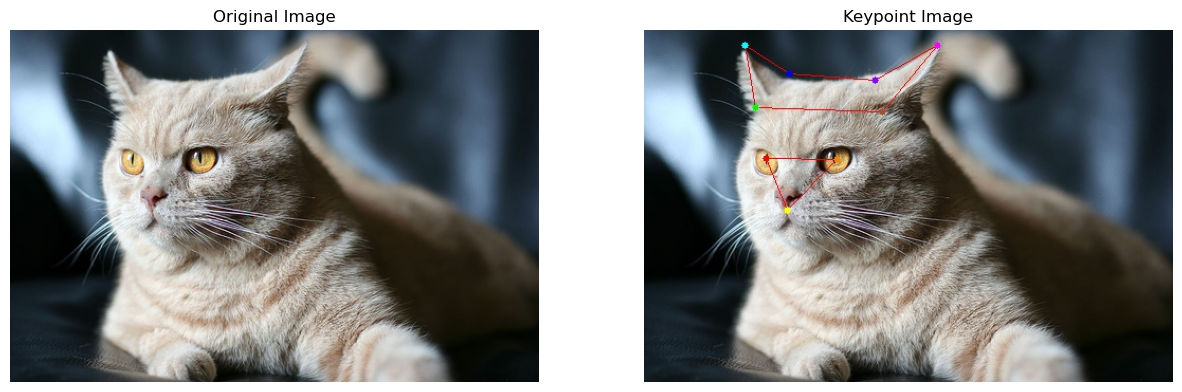 利用MMPose进行姿态估计（训练、测试全流程） - 知乎