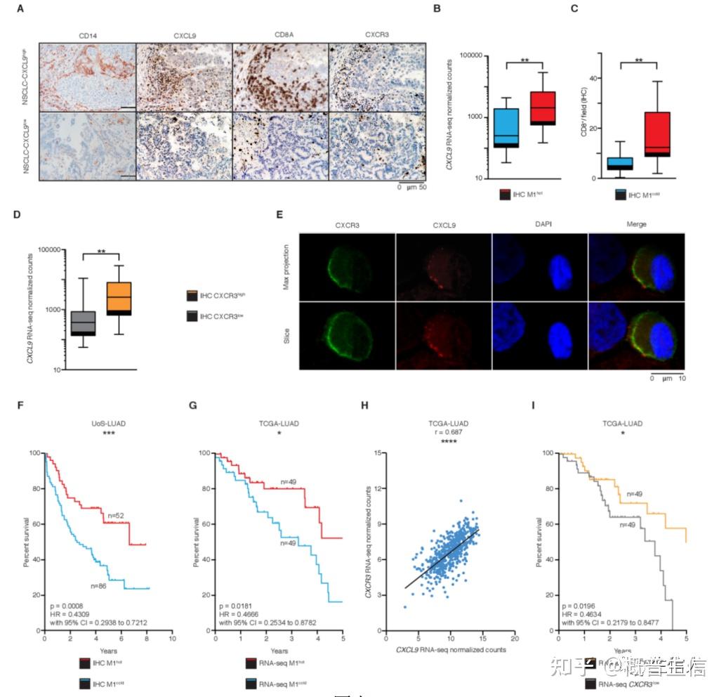 值得一看！联合思路分析：肿瘤相关巨噬细胞 - 知乎