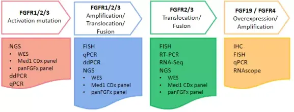 【杰论系列】伴随诊断及生物标志物篇：FGFR - 知乎