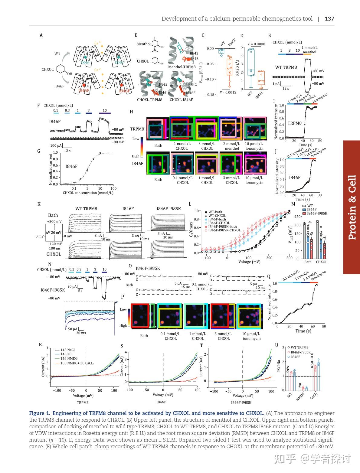 关于浙江大学 Yihui Cui 课题组 Protein & Cell 论文调查报告 - 知乎