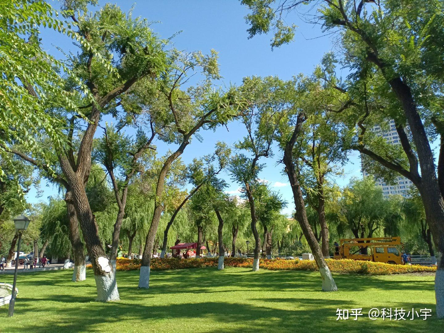 NZONE 50 Pro 上手评测 - 知乎