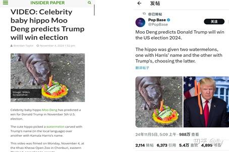 MOODENG ETH——下一个模因之王：2 为什么MOODENG如此流行？ - 知乎