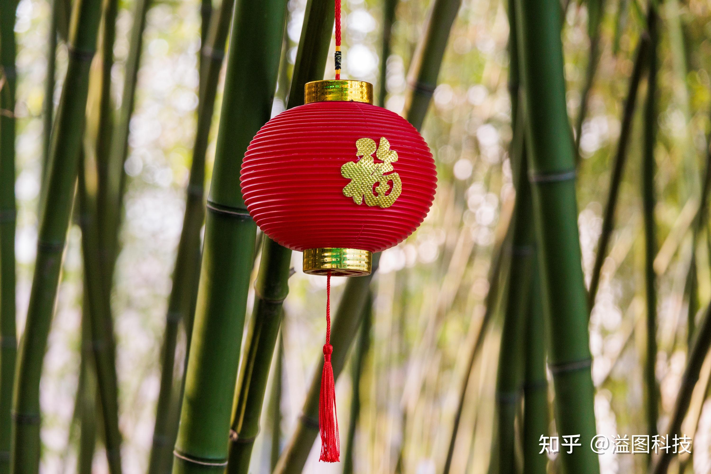 和儿子一起体验佳能RF-S55-210mm镜头 - 知乎