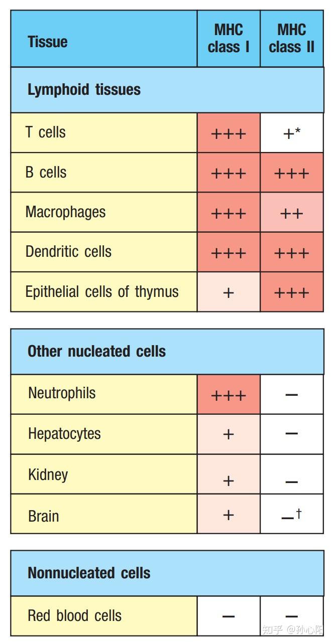 Chapt4: B细胞和T细胞的抗原识别 - 知乎