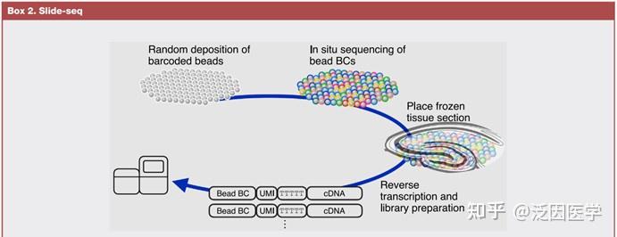DNA-GPS：无光学空间基因组学的理论框架和当前方法的综合 - 知乎