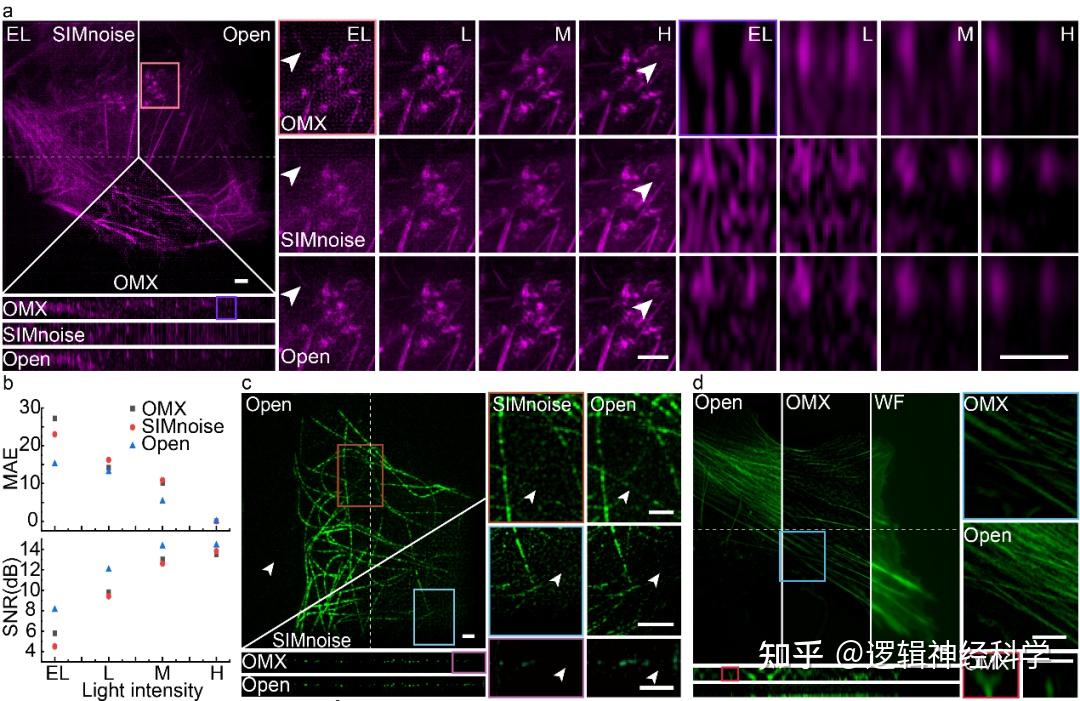 Nat Methods︱北京大学席鹏课题组提出开源高保真三维结构光照明显微成像重建算法平台 - 知乎
