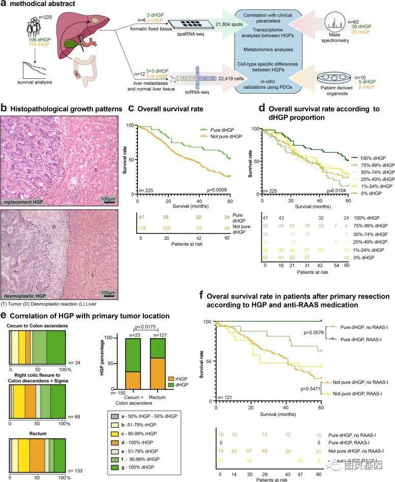 Mol Cancer | 单细胞分辨率下肿瘤不同组织学生长模式(HGP)的分子差异 - 知乎