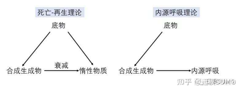 活性污泥模型的前世今生与未来发展 - 知乎