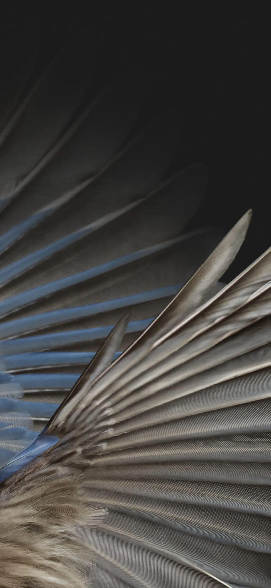 新增google pixel 7 pro内置壁纸 - 知乎