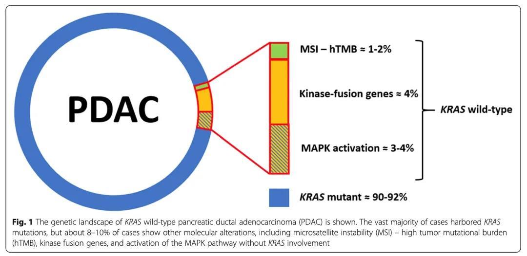 #泛教授读文献# KRAS野生型胰腺导管腺癌分子研究盘点 - 知乎