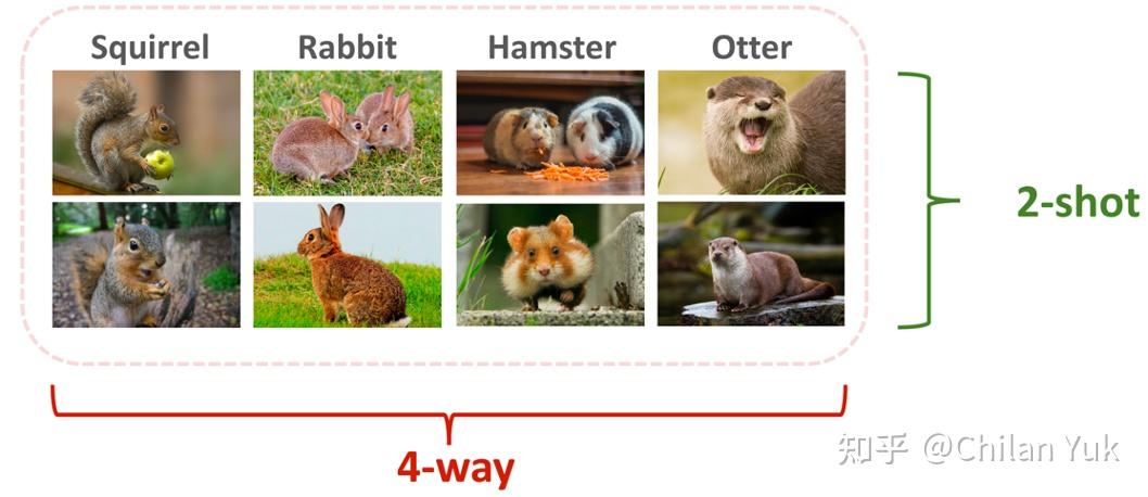 零基础入门Few-shot learning & Meta Learning & MAML - 知乎