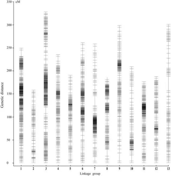 干货！盘点不同群体的遗传图谱构建 - 知乎