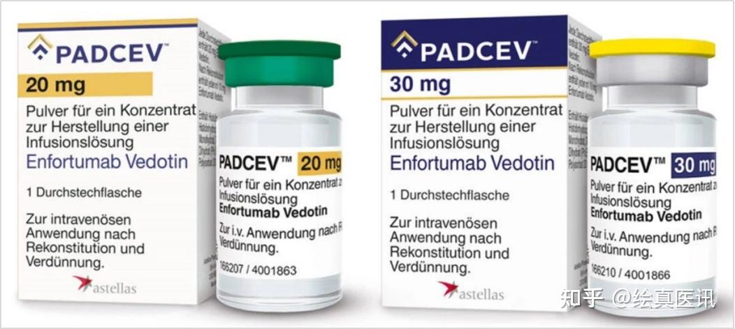 【绘真科普】细说Nectin-4蛋白与癌症之间的发生、预后和靶向治疗 - 知乎