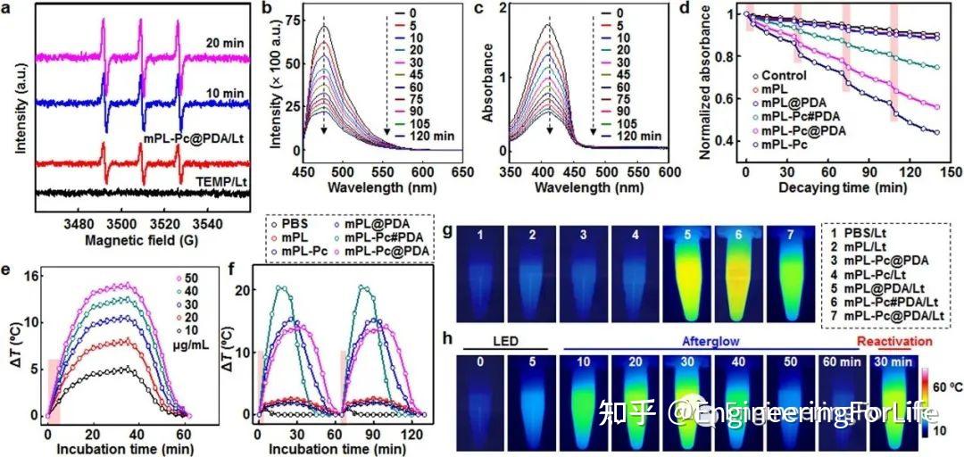 《CEJ》：双动力驱动Janus纳米马达用于癌症治疗 - 知乎