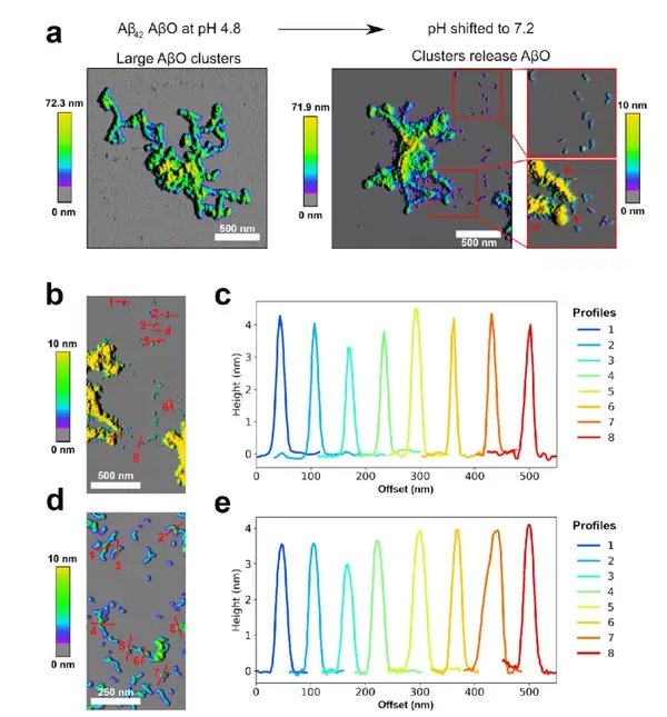 Nat Commun：内溶酶体的Aβ浓度和pH值触发Aβ寡聚体的形成，诱导Tau错配 - 知乎
