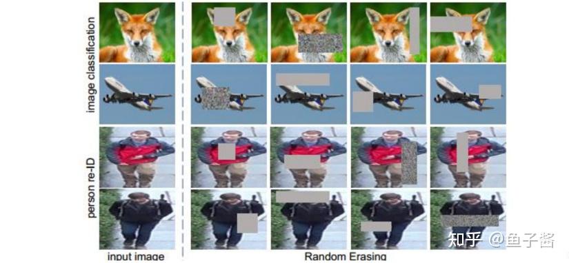 详解22种transforms数据预处理方法 - 知乎