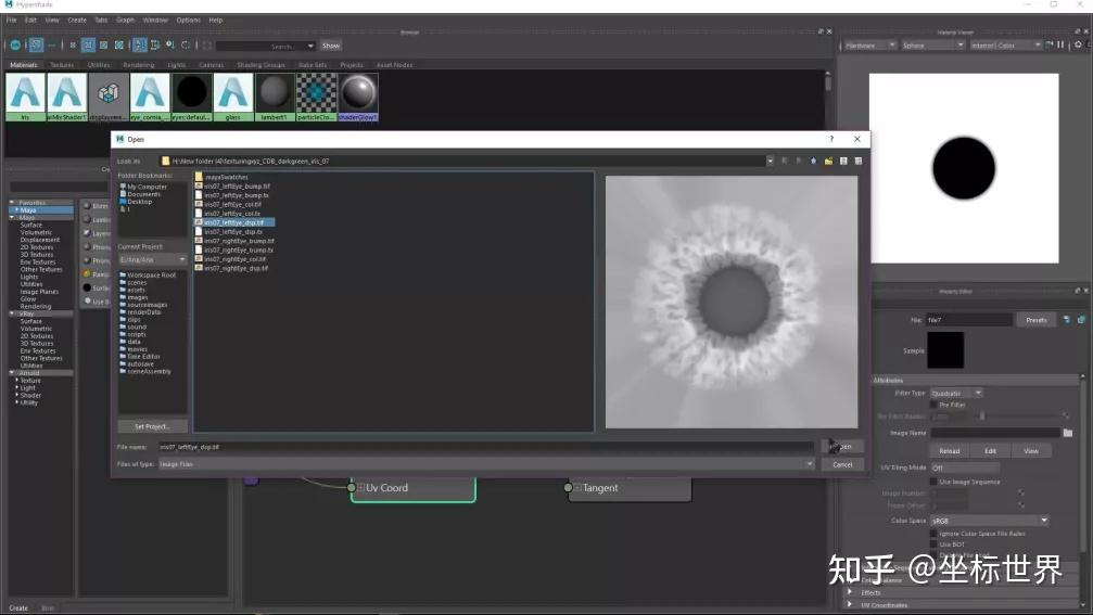 用Maya、Arnold制作渲染真实眼球【附贴图模型文件下载】 - 知乎