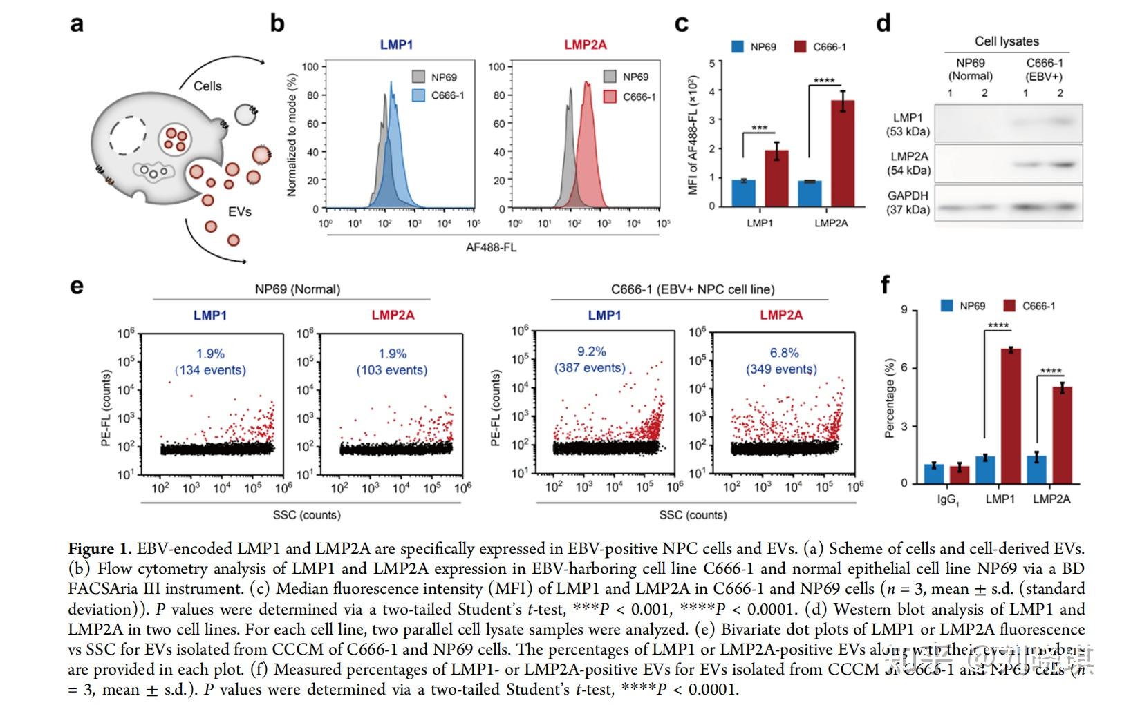 外泌体相关研究文献分享,轻松读完一篇文献（二十一） - 知乎