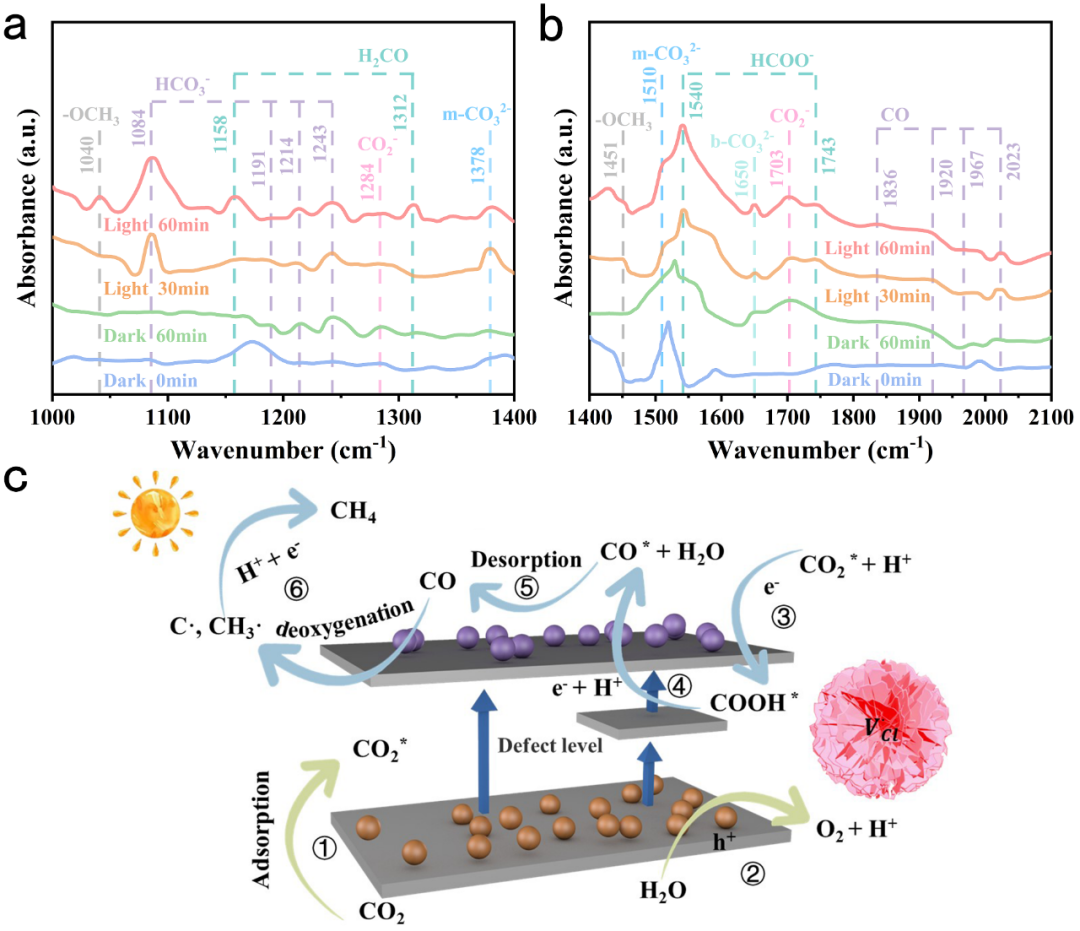 昆理工邱建备&北航张俊英AEM: 双钙钛矿Cs₂NaBiCl₆表面和缺陷工程耦合用于高效CO₂光还原 - 知乎