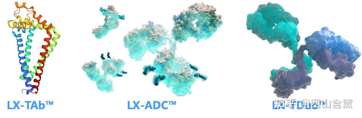 国内外知名企业ADC技术平台(第十一期，礼新医药） - 知乎