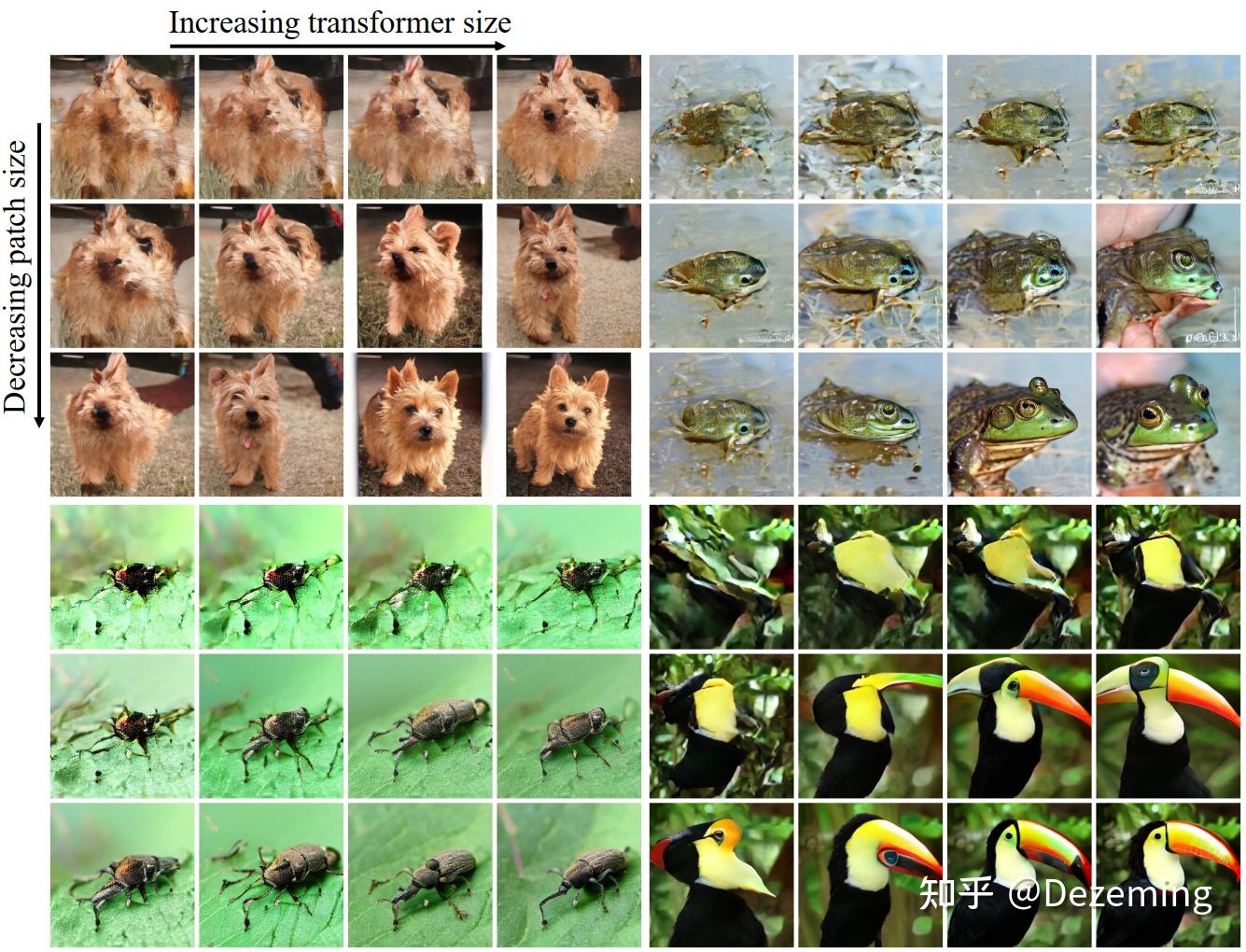 深入浅出【Diffusion Model】之DiT—Diffusion Transformer - 知乎