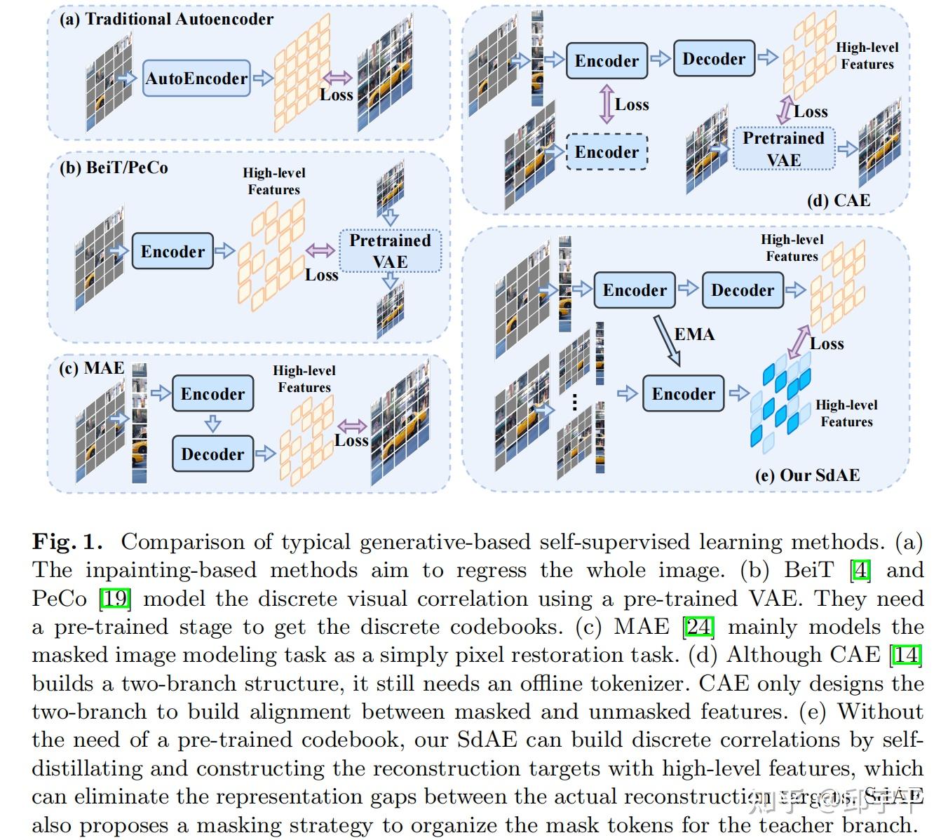 【论文阅读】SdAE: Self-distillated Masked Autoencoder - 知乎