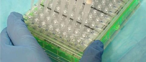 一文读懂！Seahorse数据统计分析——OCR、ECAR - 知乎