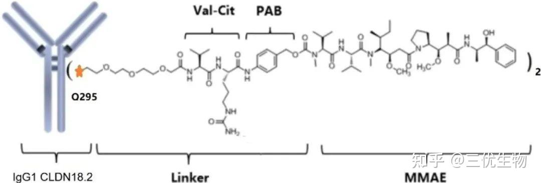三优药讯｜ASCO23重大ADC临床结果解读（国产篇） - 知乎