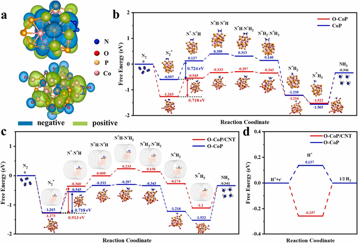 南昌大学与浙大最新合作Applied Catalysis B: Environmental - 知乎