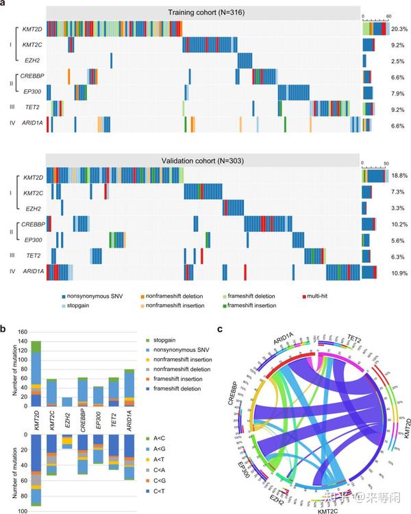 文献解读 | CREBBP/EP300 通过改变巨噬细胞的极化，从而促进淋巴瘤的发展 - 知乎