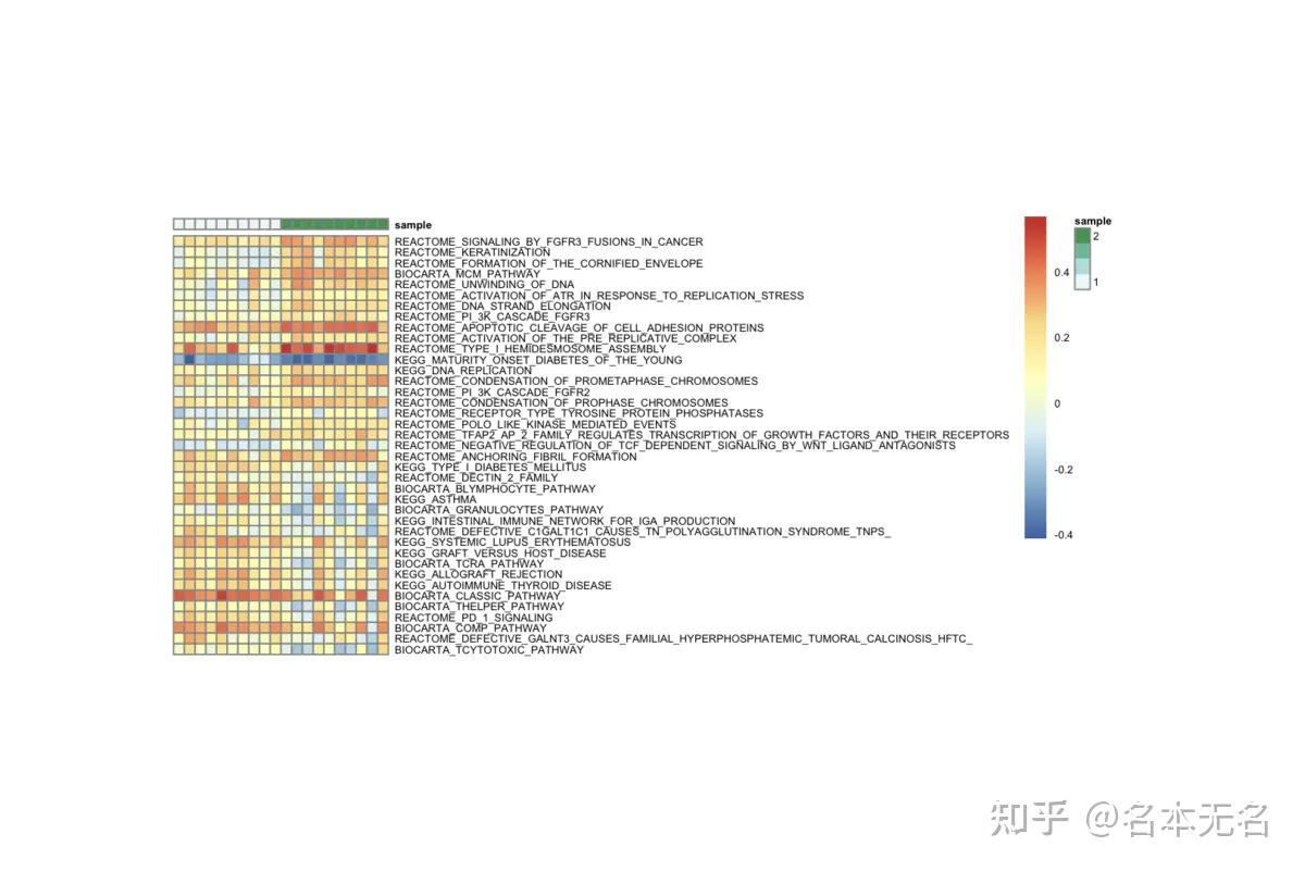 TCGA 数据分析实战 —— GSVA、ssGSEA 和单基因富集分析 - 知乎