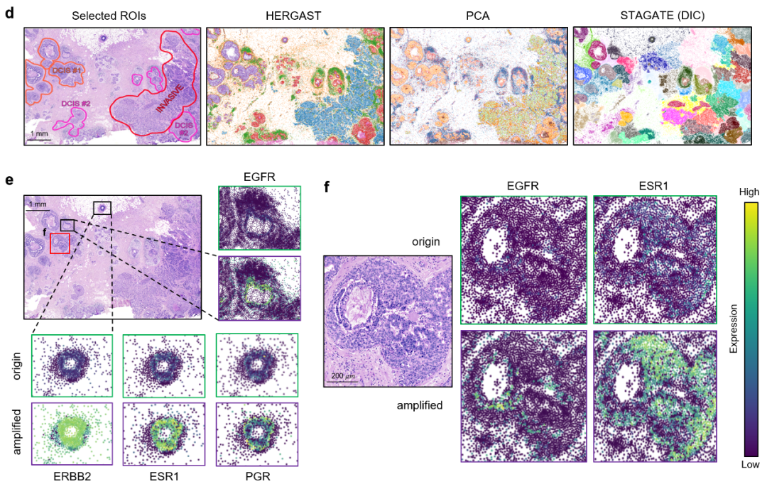 Nat Commun | 上海交大团队开发HERGAST，破解超大规模空间转录组分析难题 - 知乎