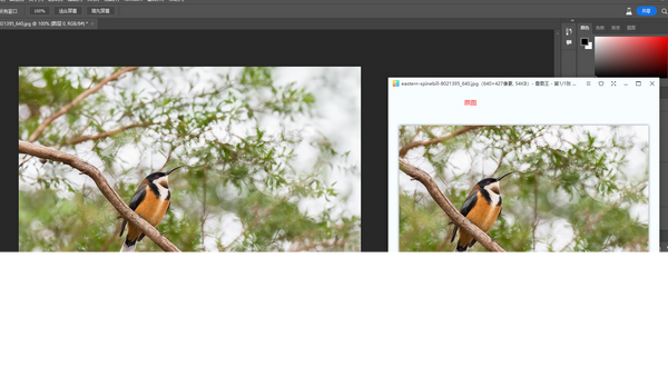 Photoshop Beta版9大新功能，AI一键换装，Generative Fill文生图 - 知乎