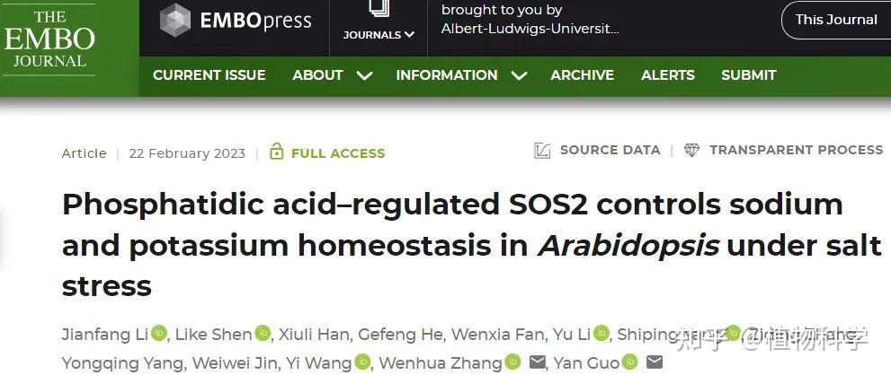 EMBO J | 中国农业大学郭岩/南京农业大学章文华团队揭示磷脂酸调控SOS2途径维持盐胁迫下拟南芥钠/钾稳态的新机制 - 知乎