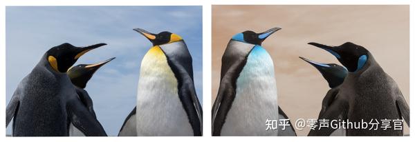 Yuv与rgb的采样与存储格式 知乎