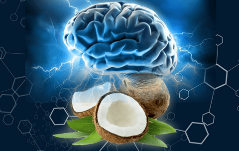 我爱脂肪3 - 长中短链脂肪酸，LCT，MCT和SCT - 知乎