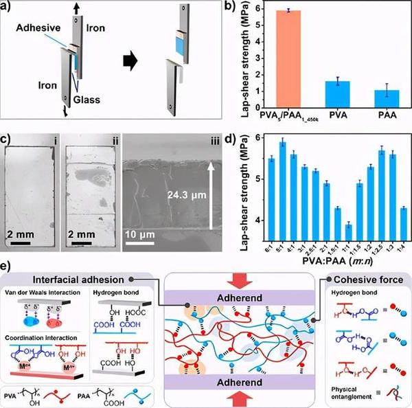 《ACS Materials Lett.》吉林大学孙俊奇：聚乙烯醇/聚丙烯酸超强水基超分子胶粘剂 - 知乎