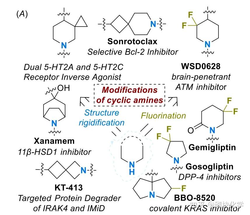 分子 pKa与LogP和结构的逻辑关系｜二氟饱和双环胺为例 - 知乎