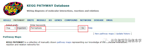 干货满满！盘点基因集查找下载的5种途径，助力您的生信分析快人一步，快快收藏！ - 知乎