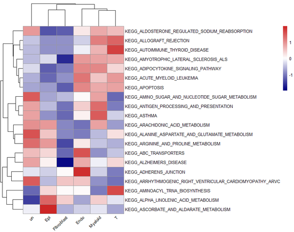 scRNA分析|单细胞GSVA + limma差异分析-celltype分组？样本分组？ - 知乎