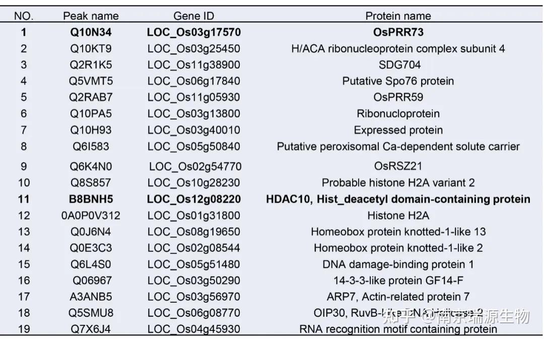 IP-MS：筛选互作蛋白-解析分子机制 - 知乎